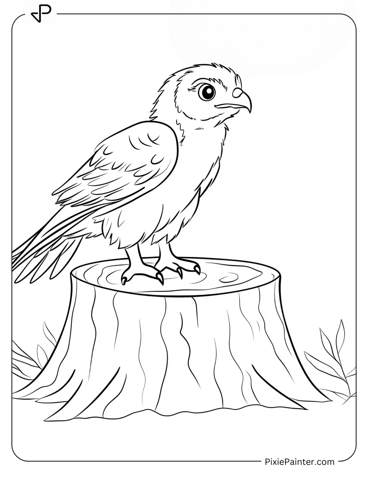 30 Hawk Coloring Pages [Free PDFs] - Pixie Painter