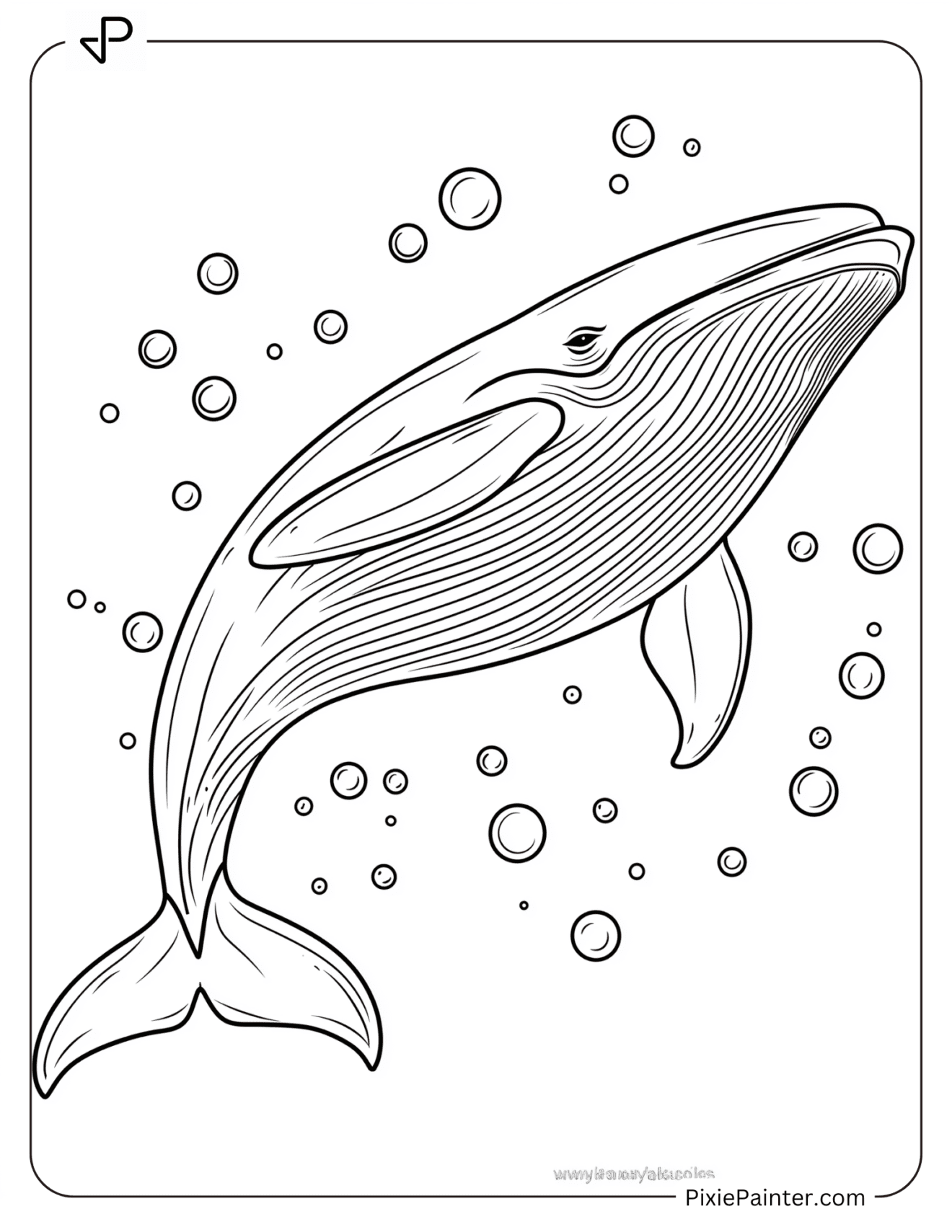 32 Whale Coloring Pages [Free PDFs] - Pixie Painter