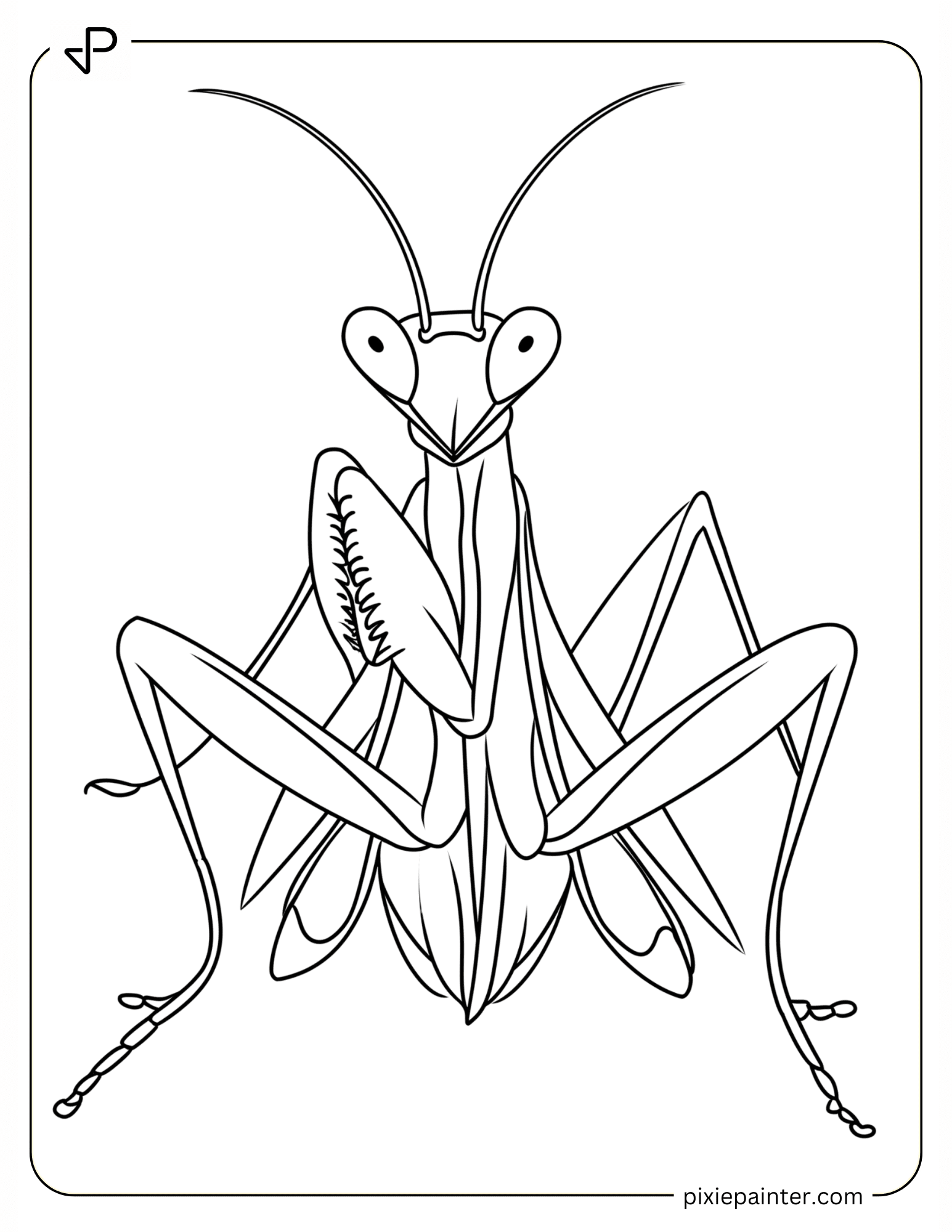 35 Praying Mantis Coloring Pages [Free PDFs] - Pixie Painter