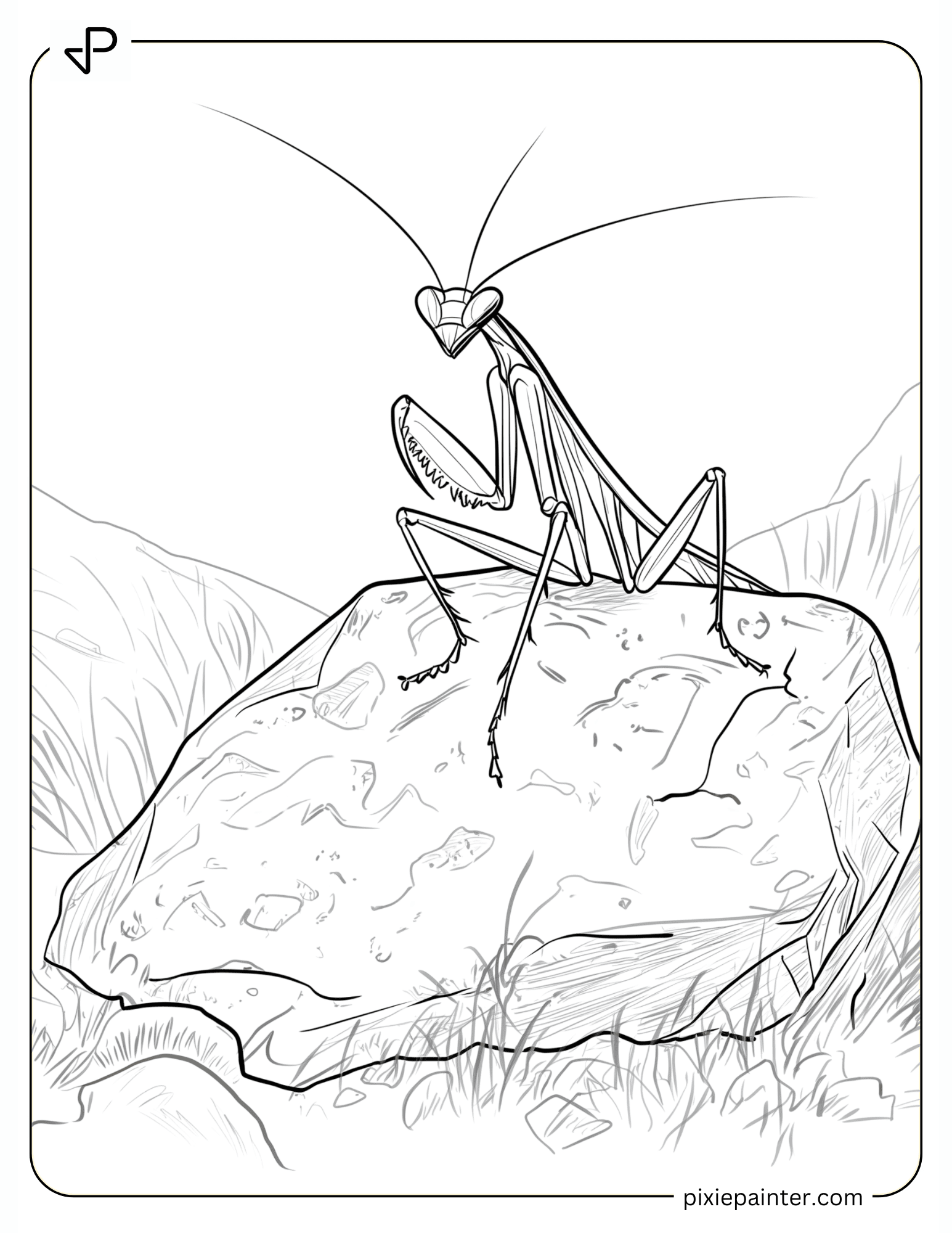 35 Praying Mantis Coloring Pages [Free PDFs] - Pixie Painter